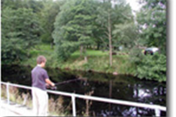 Garvagh Forest - Coleraine - Co Londonderry Attraction